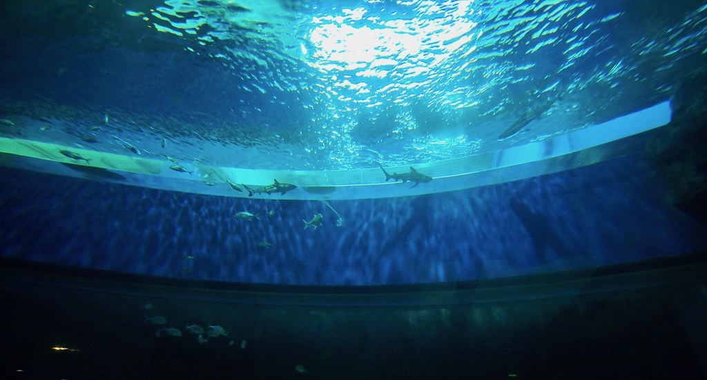 Manila Ocean Park Complex: Manila's Largest Nature and Leisure ...